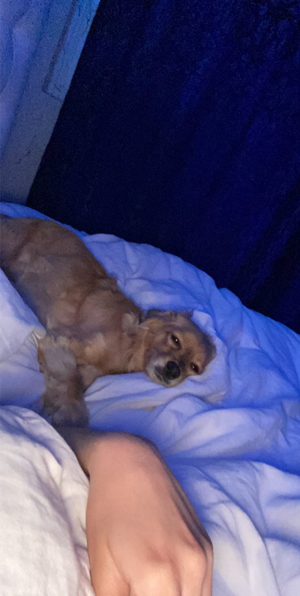 Goodnight from mal Violet Starr @missvioletstarr