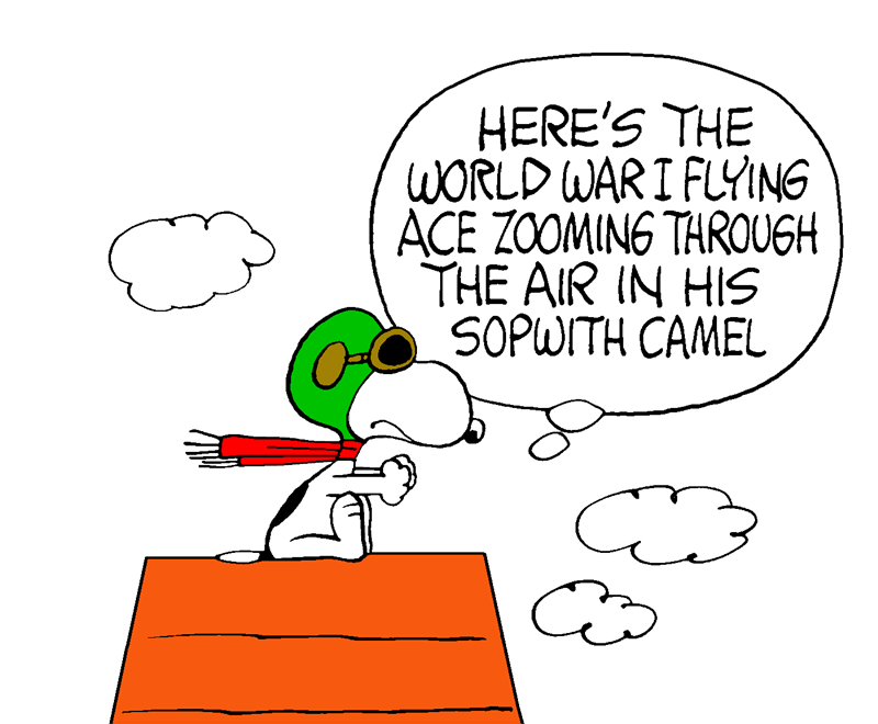 Flying Camel Cartoon