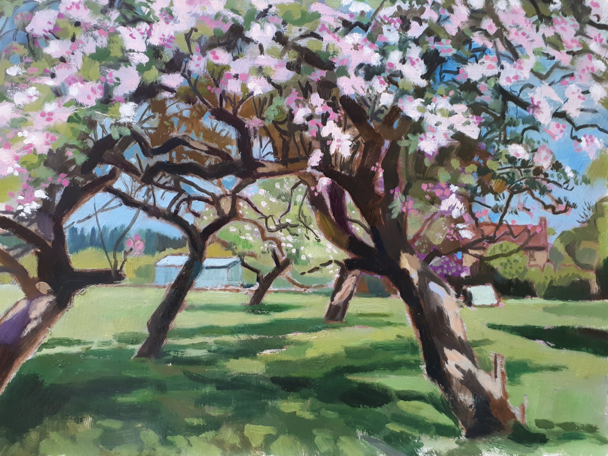 Apple Blossom Tree Painting