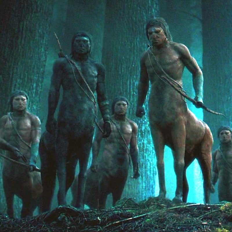 Harry Potter Centaur