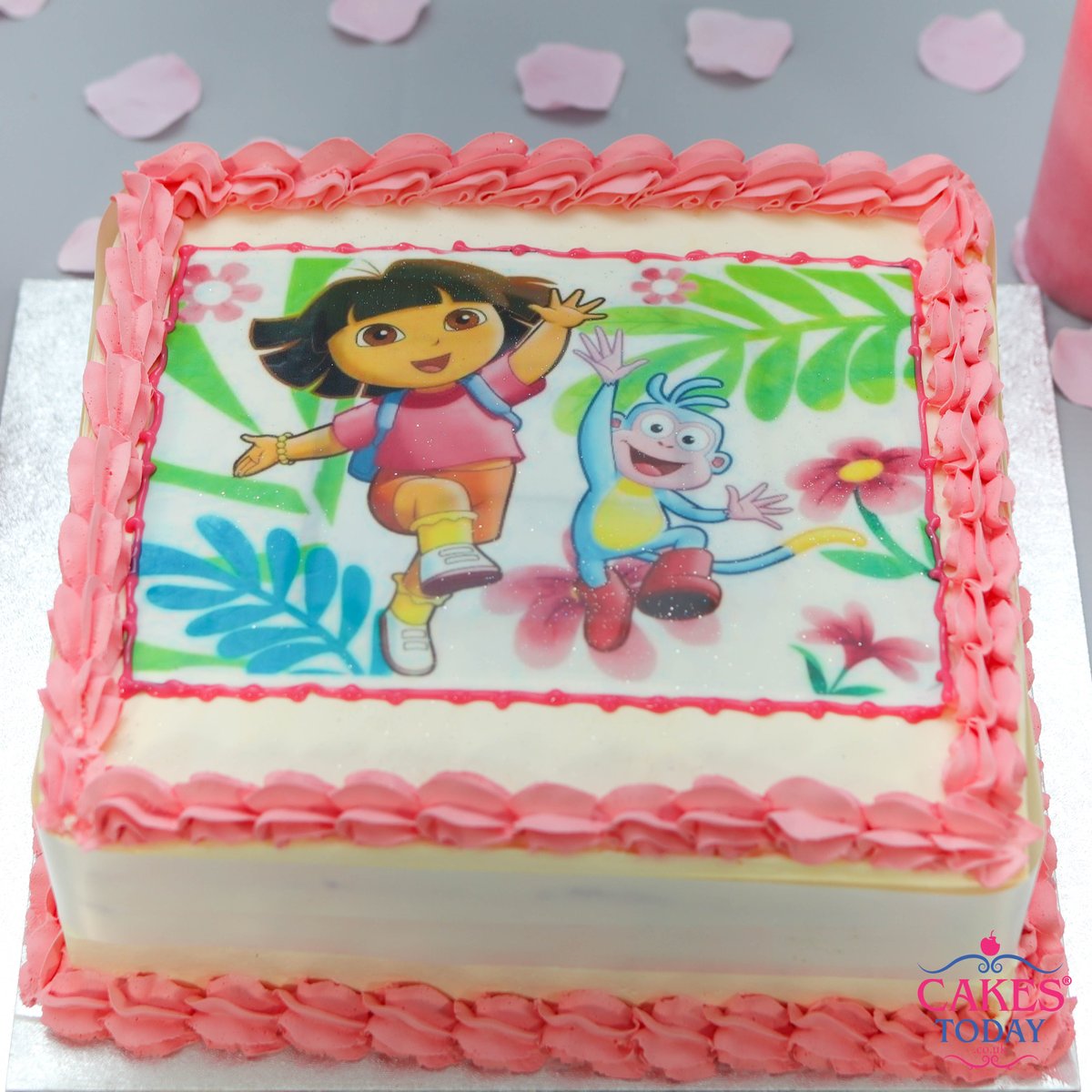 Dora The Explorer Birthday Sheet Cake