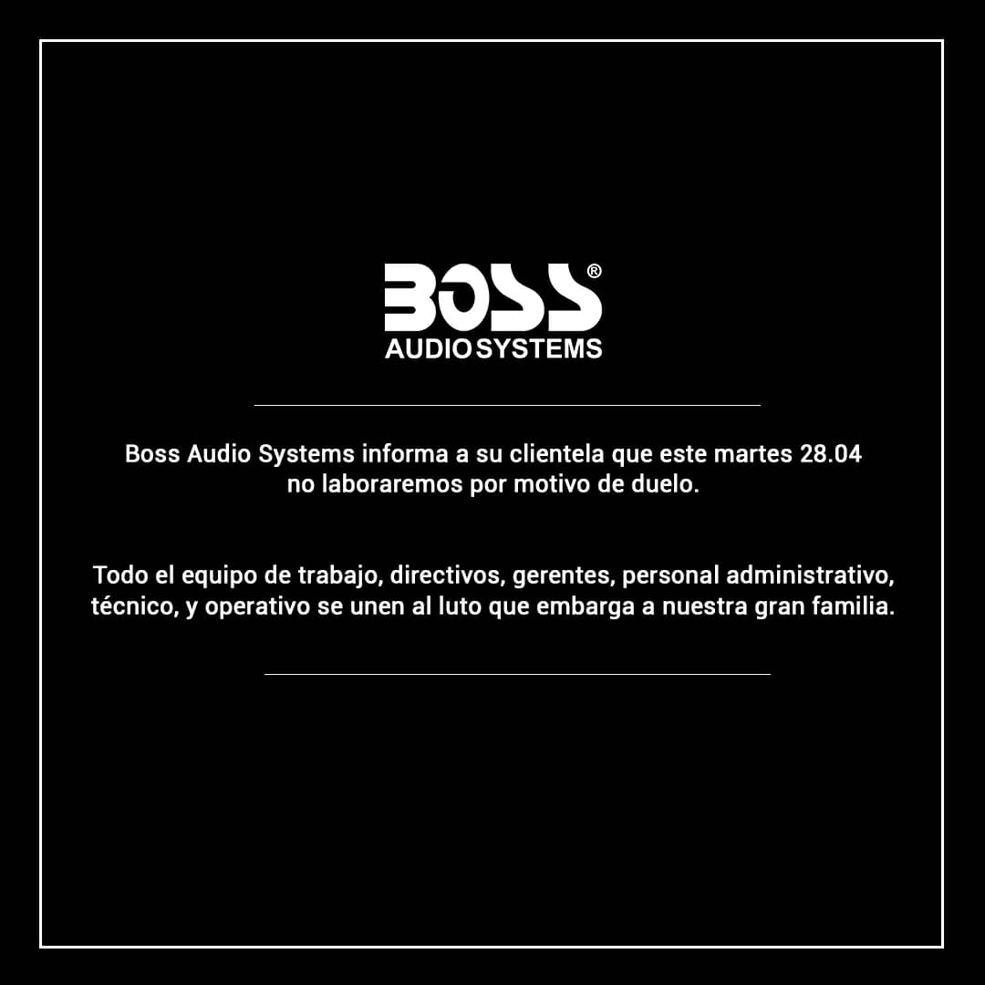 Boss Audio Logo
