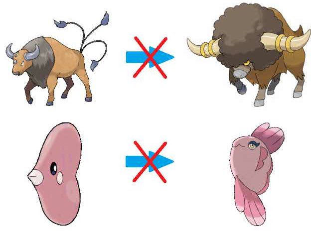 Tauros Evolution Chart