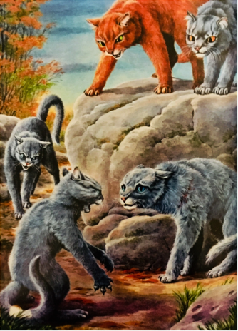 Fireheart And Cloudtail