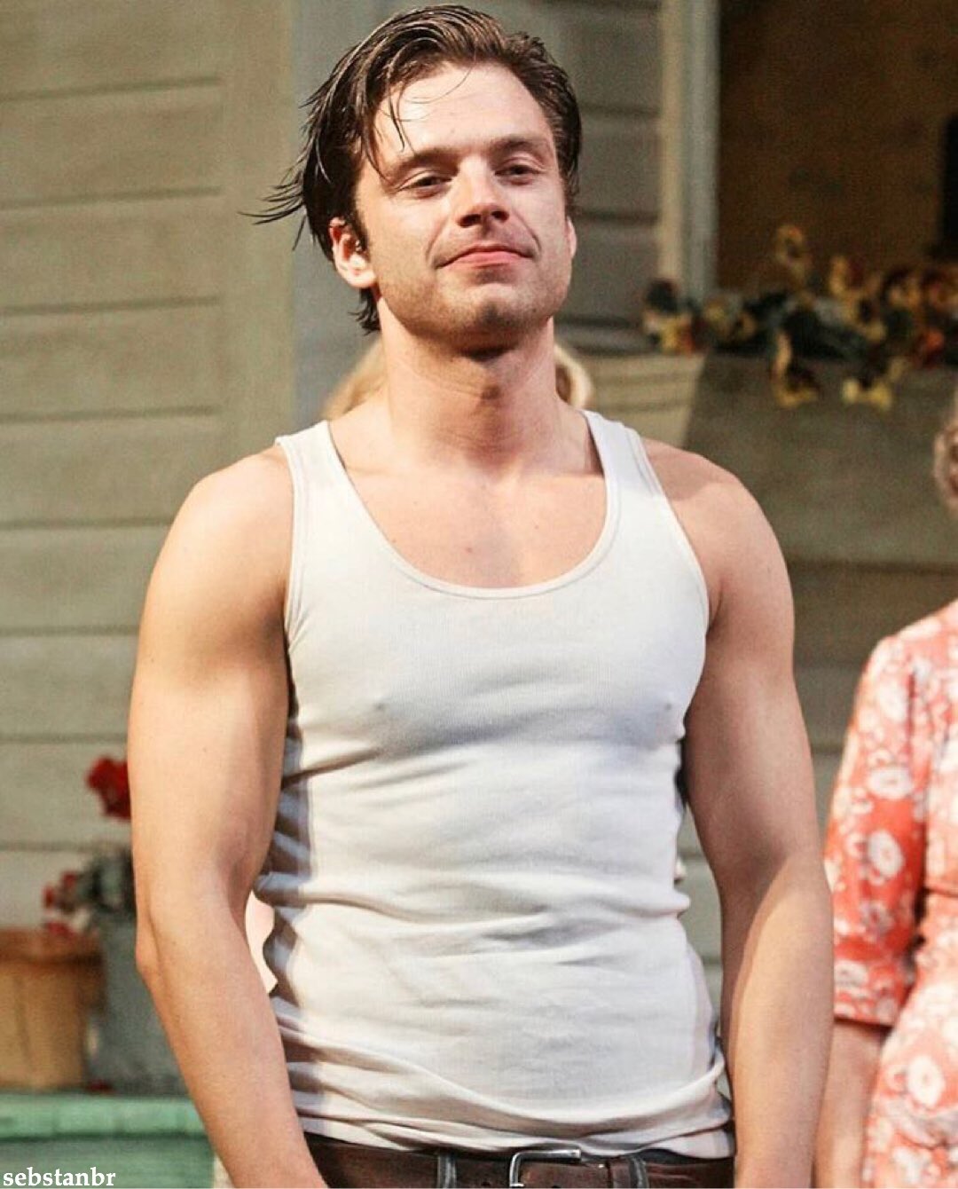 Picnic Senza Maglietta Di Sebastian Stan