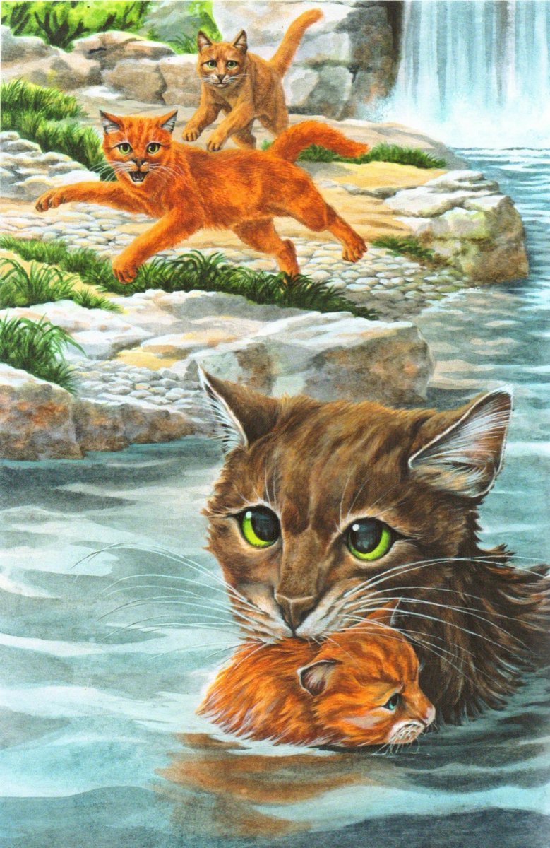 Firestar And Sandstorm And Their Kits