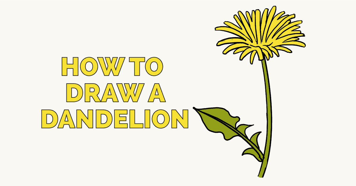 Simple Dandelion Drawing