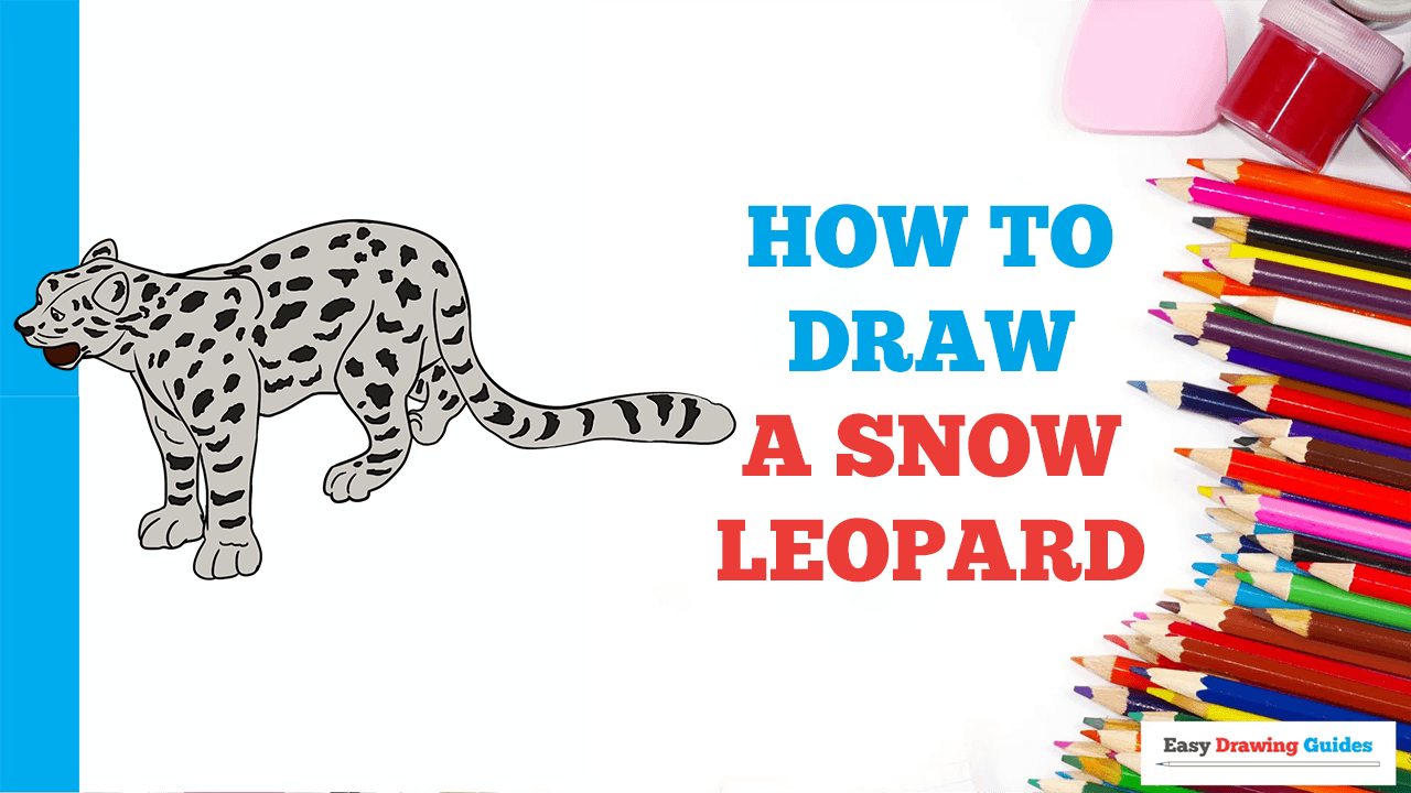 Snow Leopard Drawing For Kids