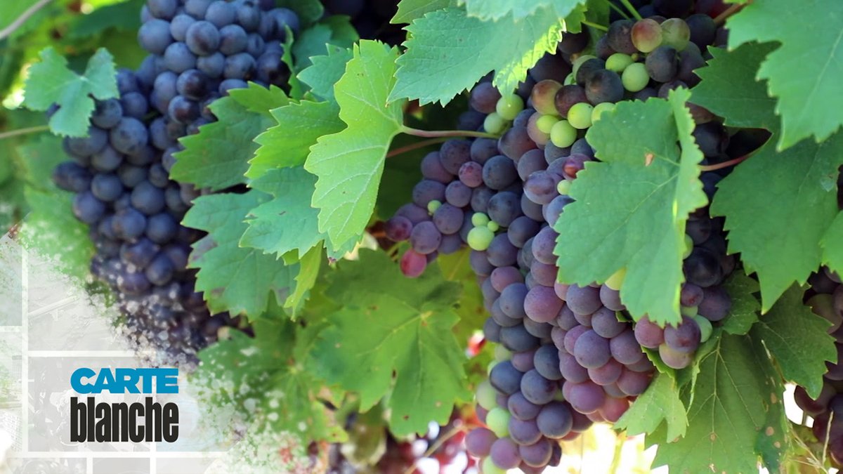 Patho Solutions (@PathoSolutions) | Twitter