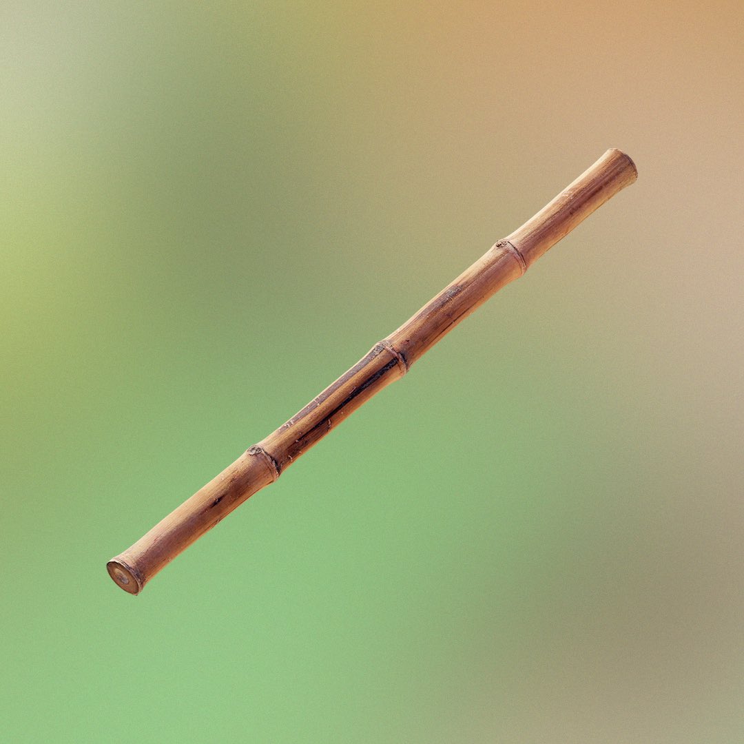 Single Bamboo Stick