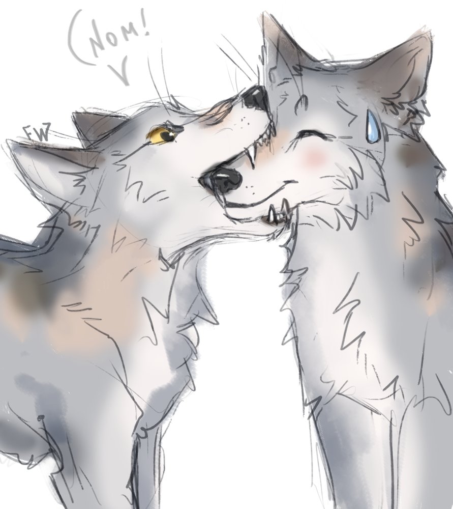 Wolf Mating Drawing