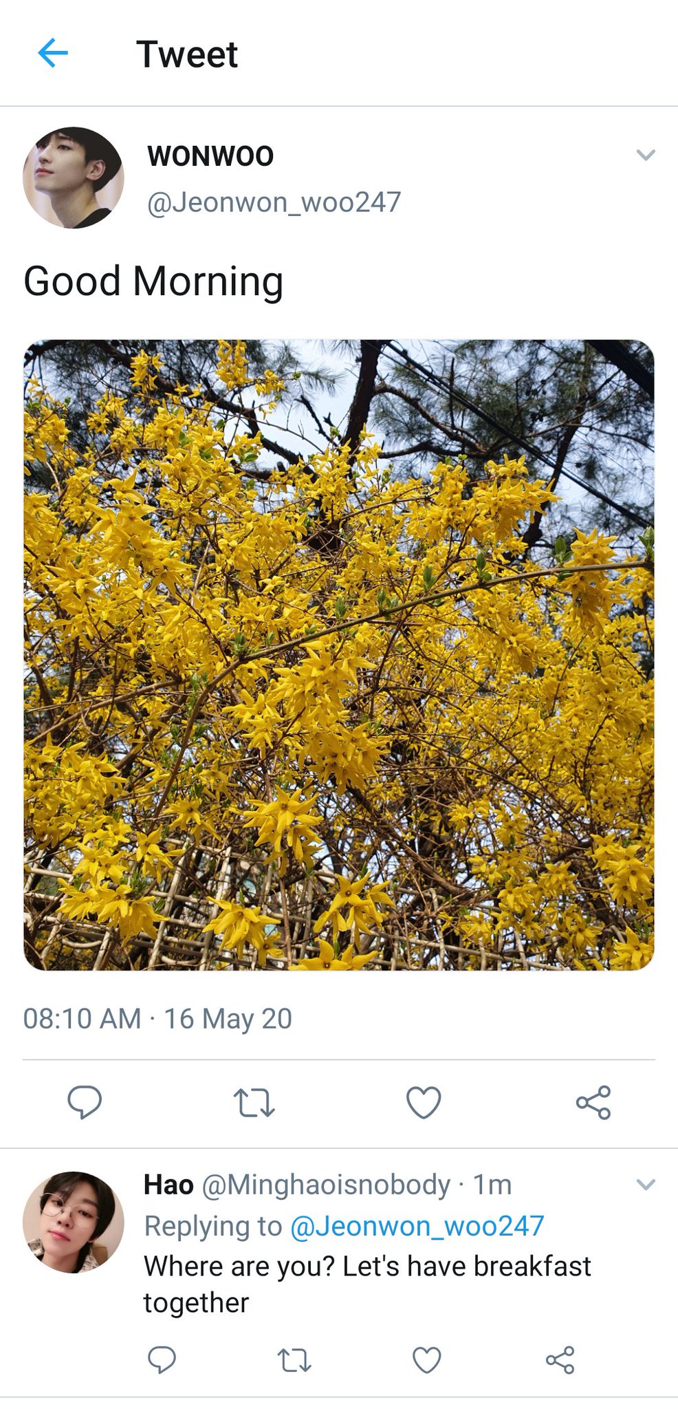 MingMing ⨟ 🌙 on Twitter: "ㅡ364ㅡ…