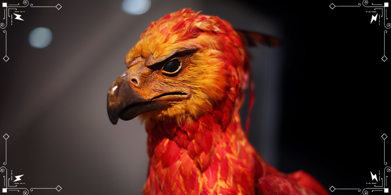 Harry Potter And The Chamber Of Secrets Fawkes