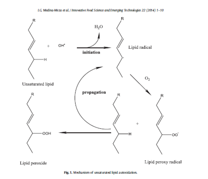 Lipid Oxidation Reaction