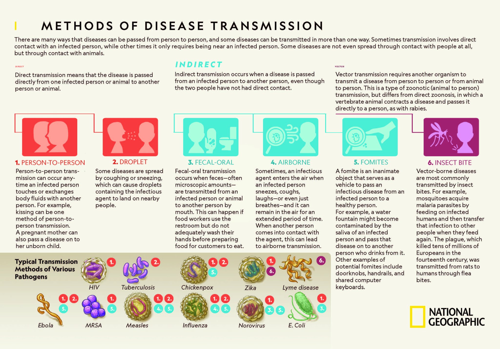 Modes Of Disease Spread