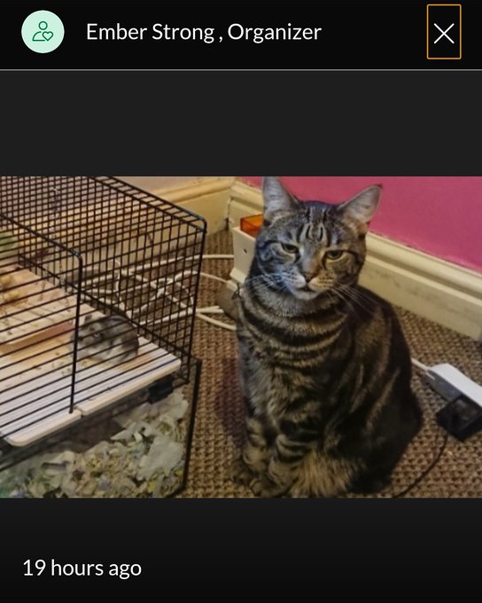 TW Pornstars - Ember Strong 🔥. The most liked pictures and videos from ...