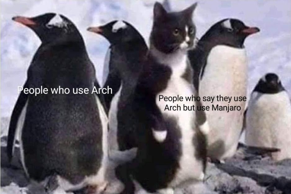 Arch Memes