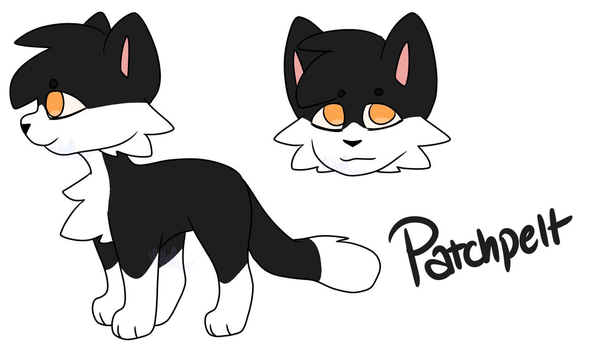 Warrior Cats Patchpelt