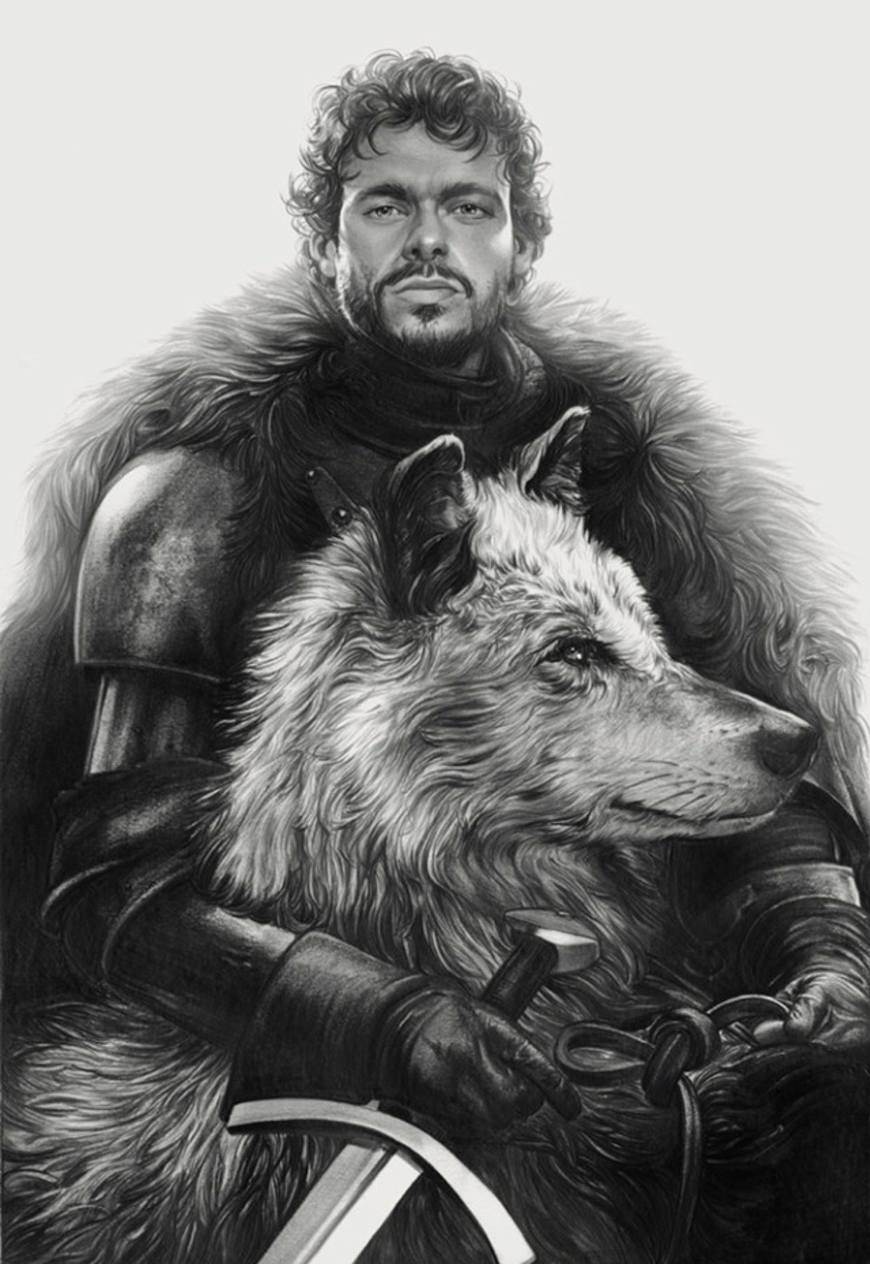 Robb Stark King In The North