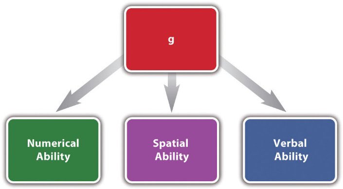 Charles Spearman G Factor