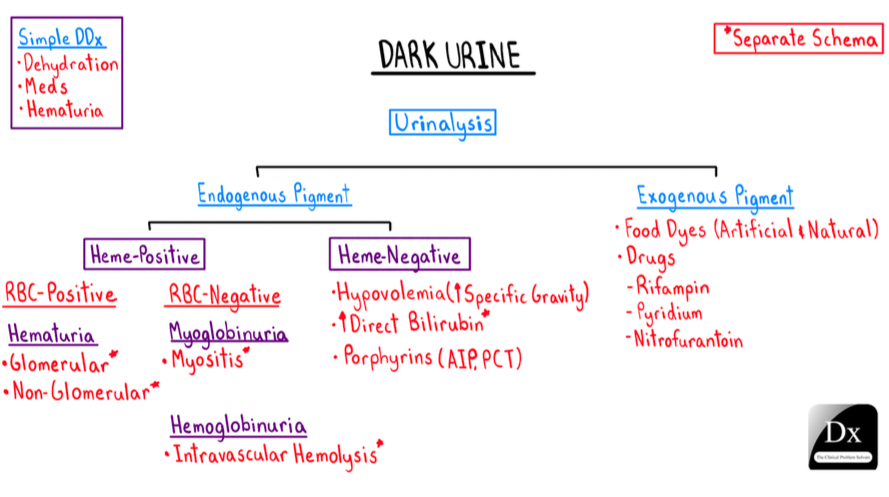 Hemoglobinuria Vs Myoglobinuria