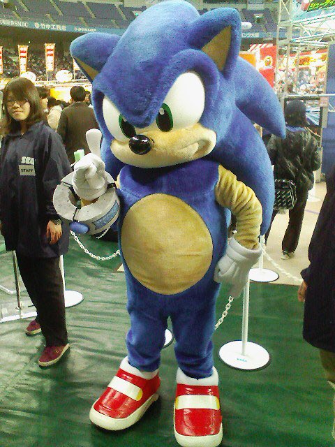 Sonic The Hedgehog Mascot Costume