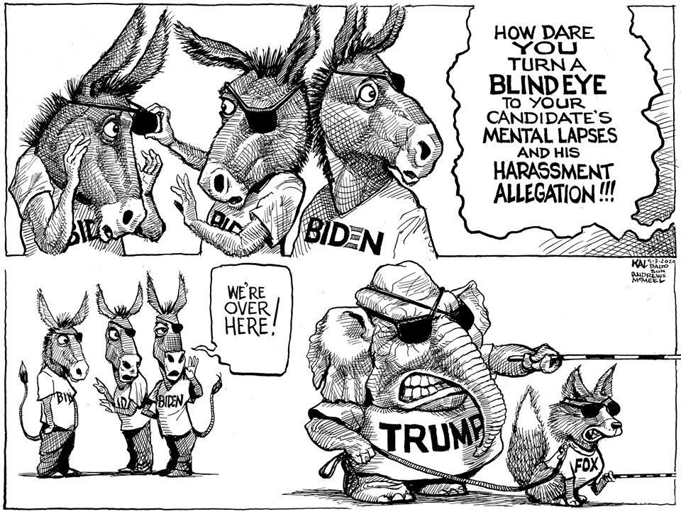 Democrats Vs Republicans Cartoon