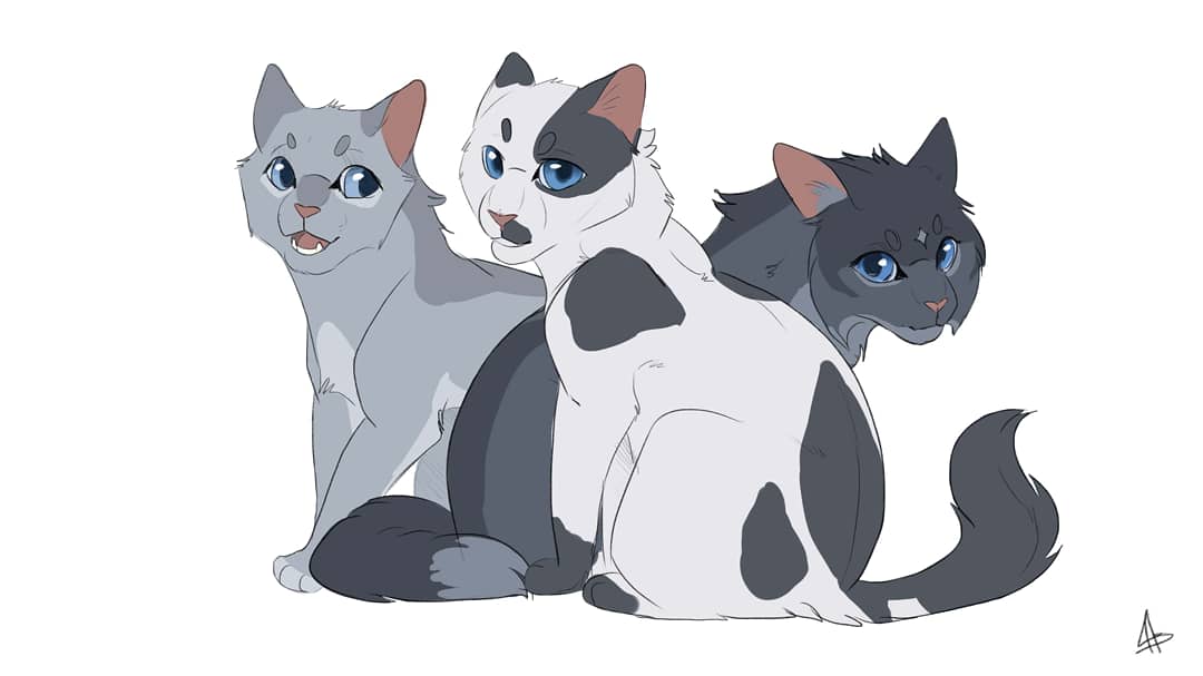 Warrior Cats Mistyfoot And Stonefur