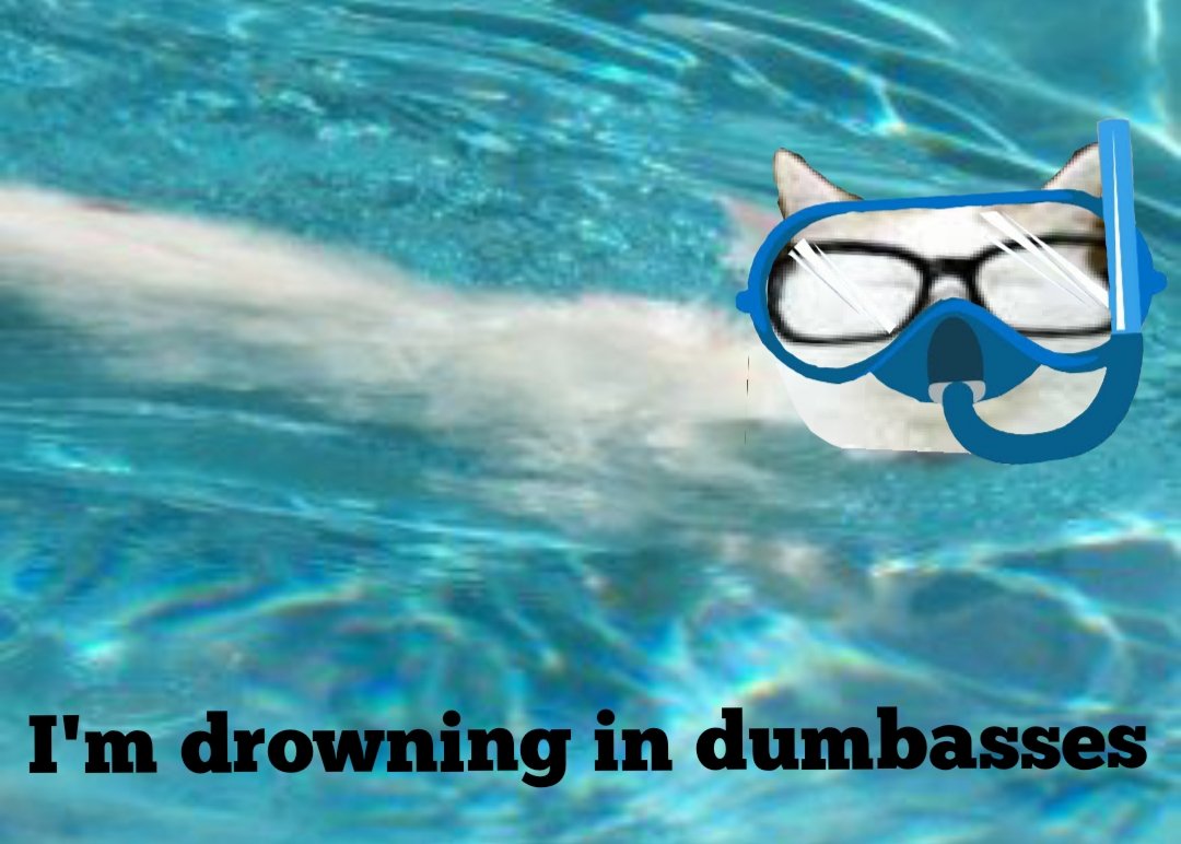 Catturd ™ @catturd2 Timeline, The Visualized Twitter (Analytics)