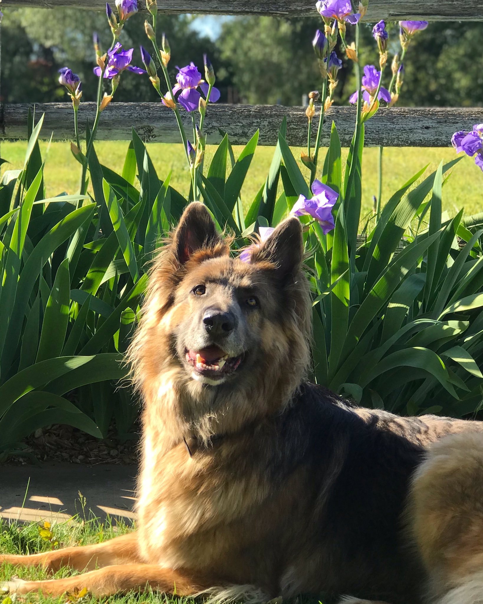 March Winds Bring April Flowers