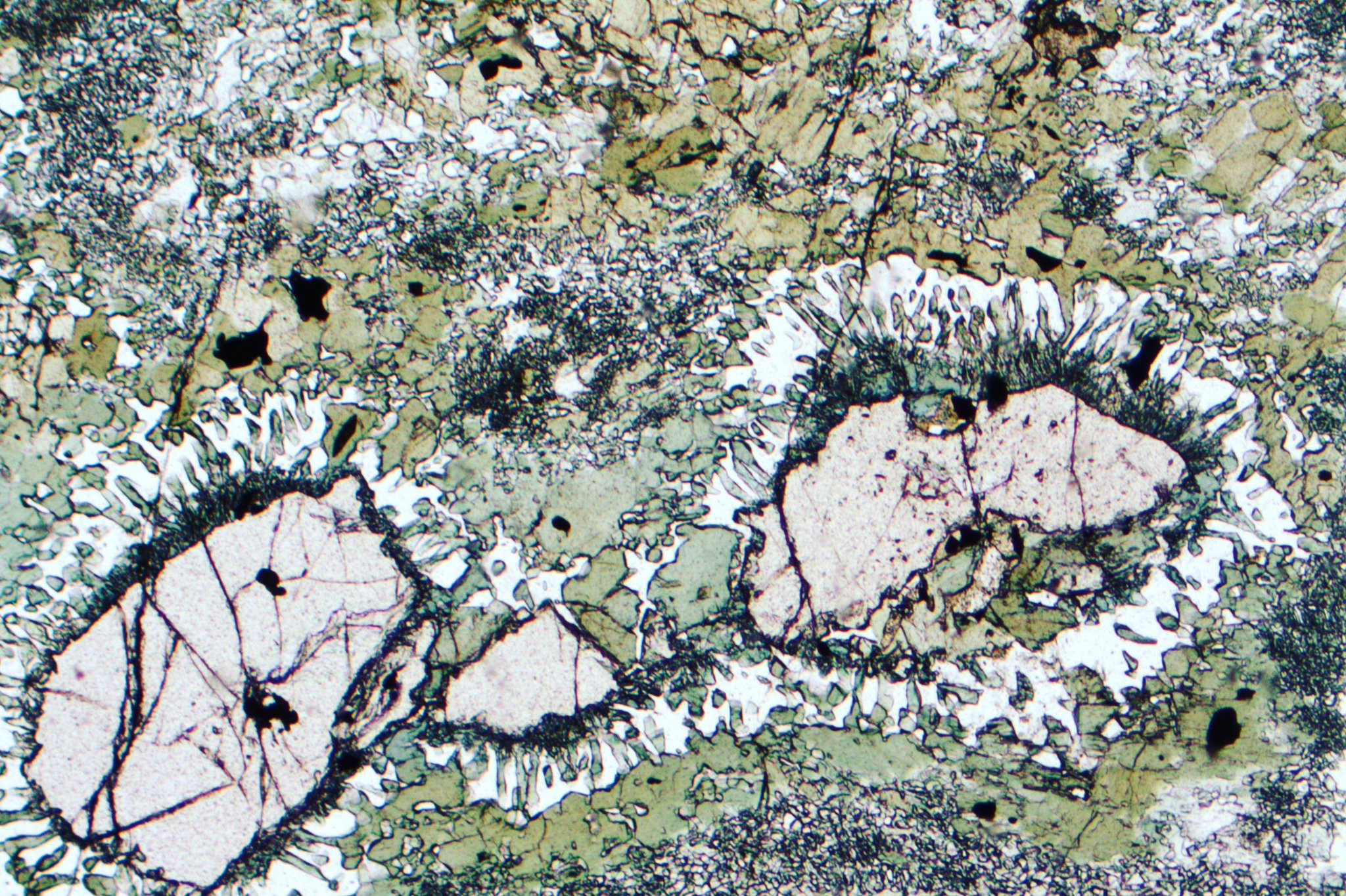 Omphacite Thin Section