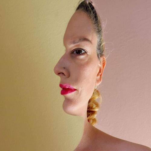 Half Face Optical Illusions