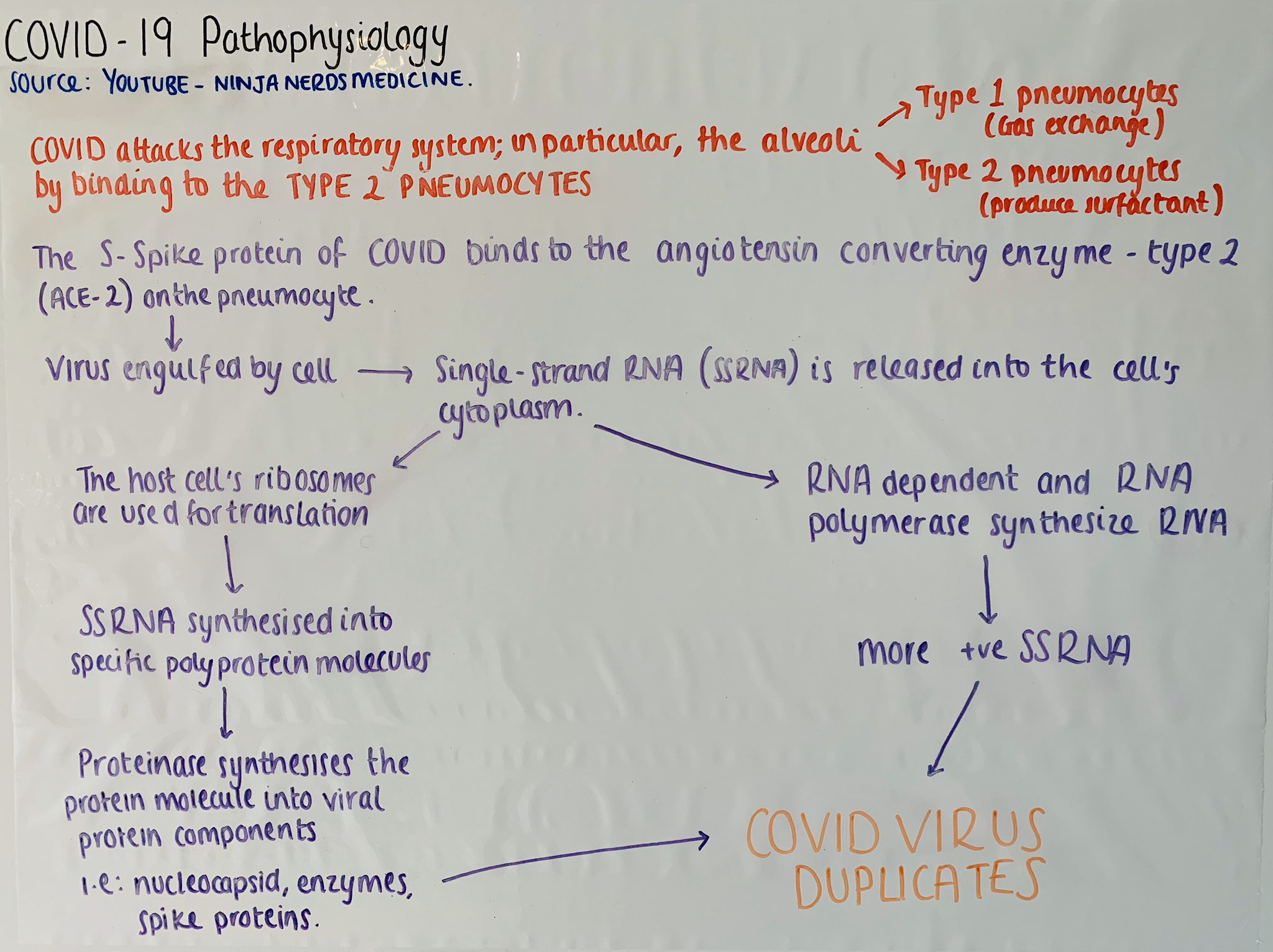 Cephalopelvic Disproportion Ppt