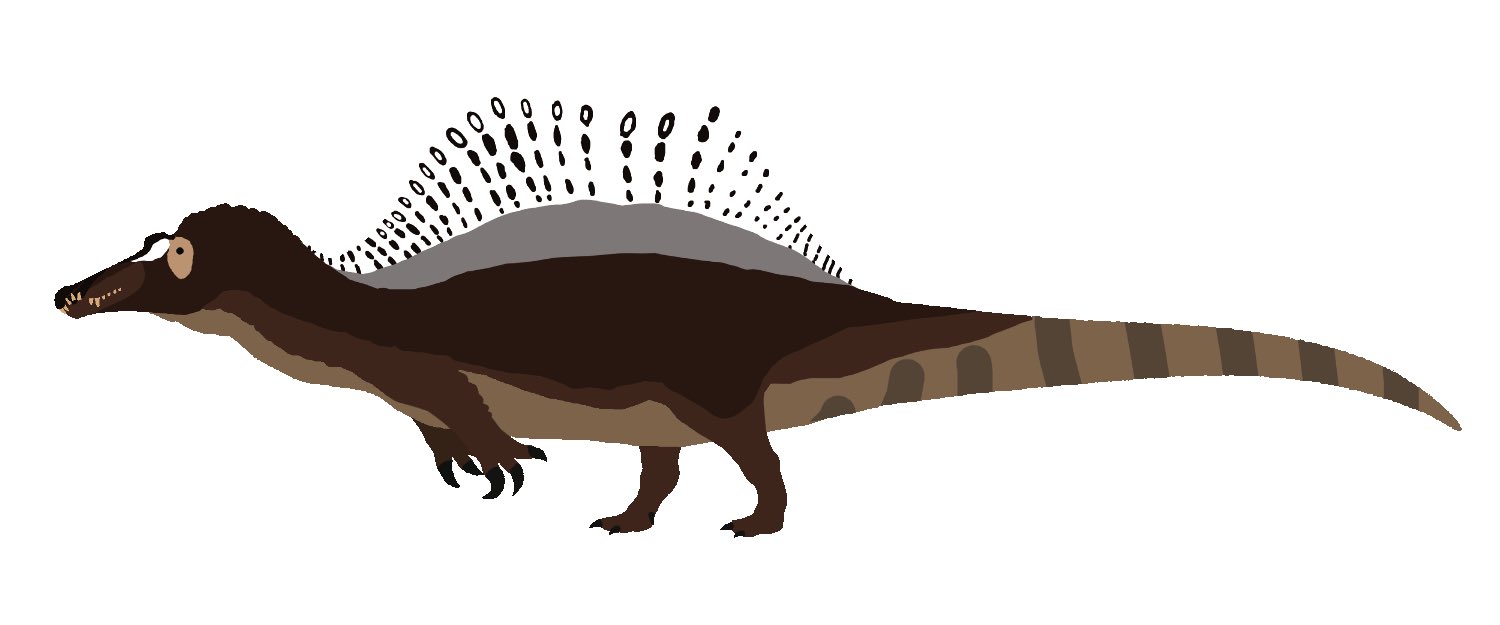 Feathered Spinosaurus