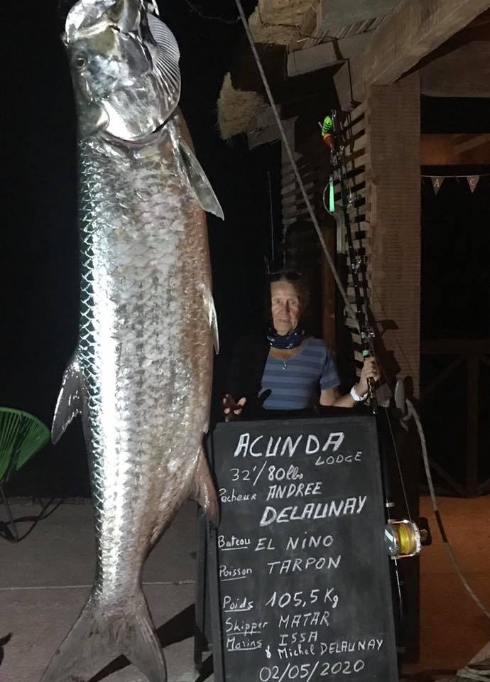 World Record Tarpon Catching A World Record Intentional Or Fluke?