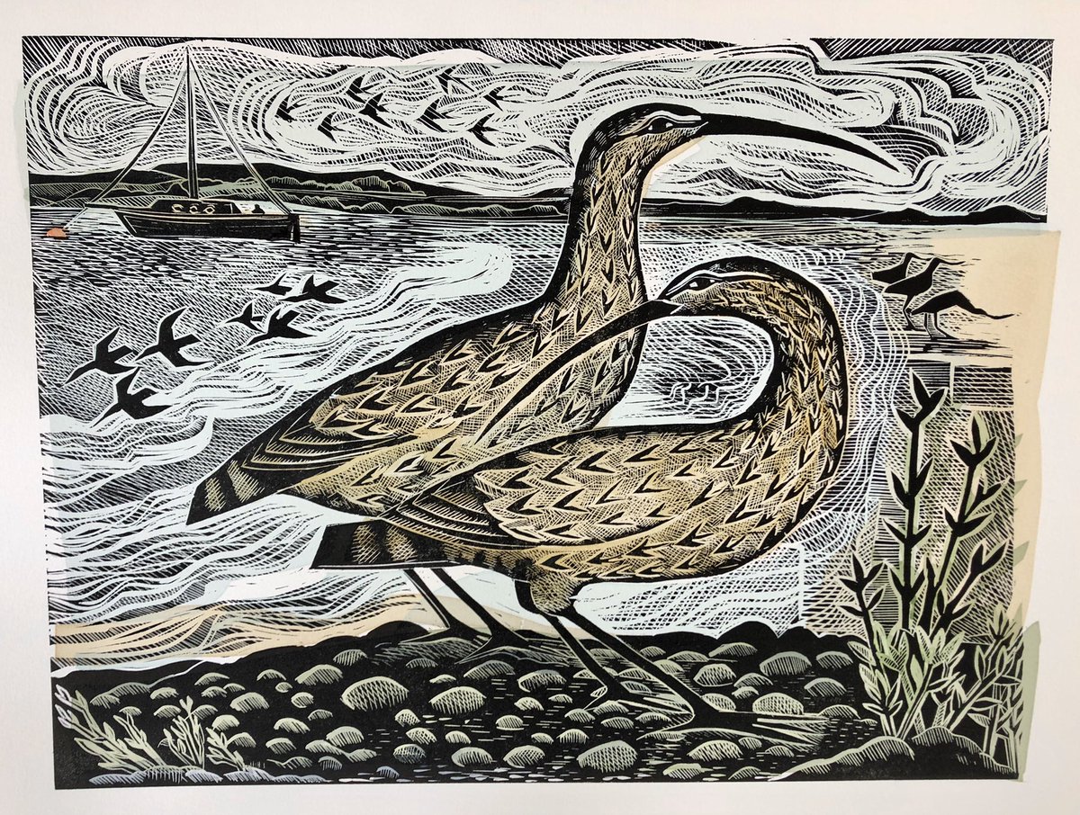 Twoucan - ANGELA HARDING (@ANGELACHARDING)