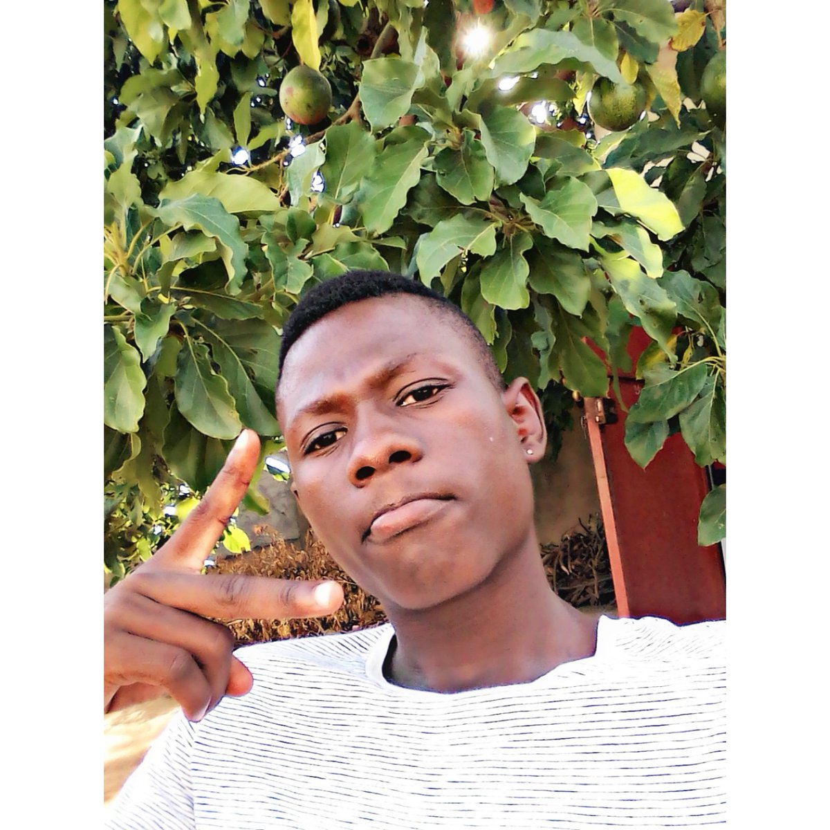 Darwin Jay 🇲🇿 (@DarwinJay20) | Twitter