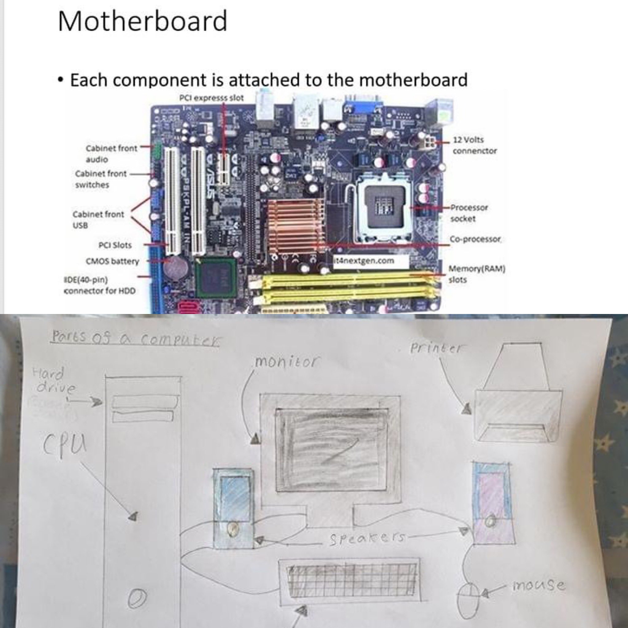 Chichester District Scouts on Twitter: "1st Westbourne Cubs finished their Stage 1 Digital Maker ...