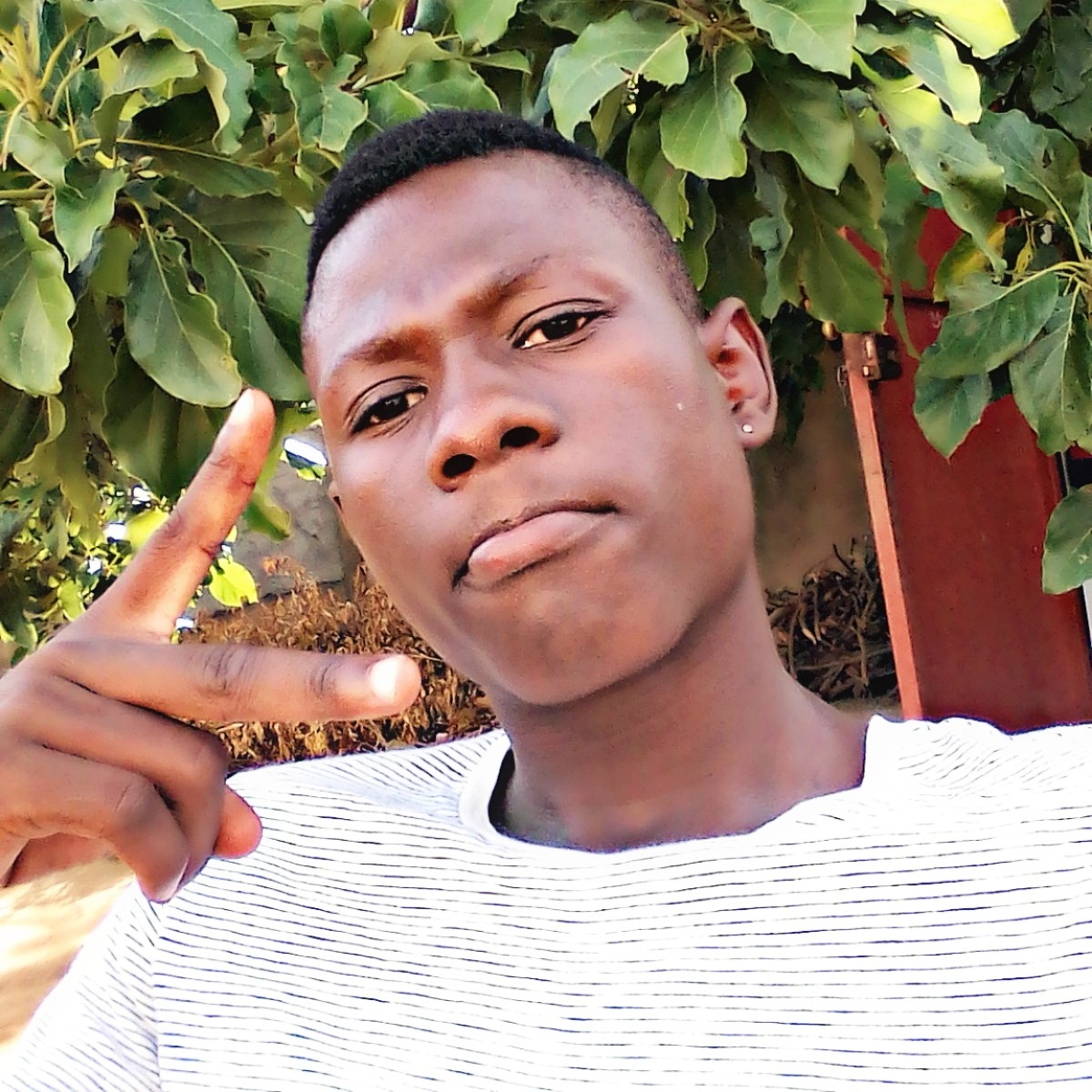 Darwin Jay 🇲🇿 (@DarwinJay20) | Twitter