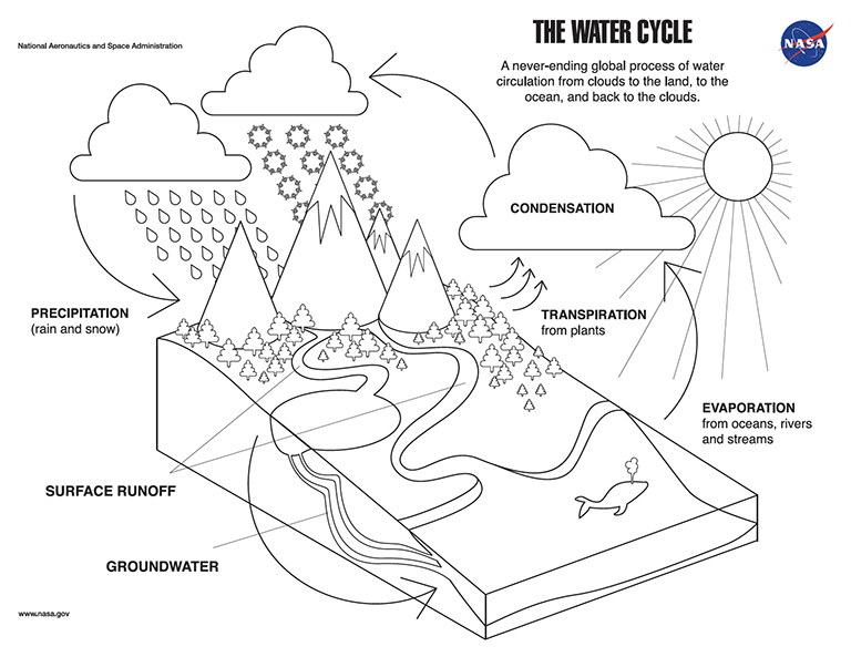 Cycle Carbon Dioxide Oxygen Kids Worksheets Photosynthesis Science Food ...