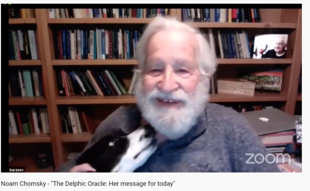 Chomsky Dog