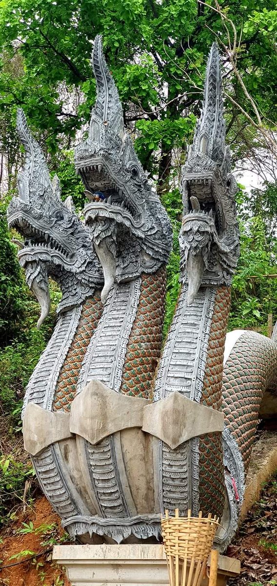 Sawitee Jit-Aree on Twitter: "💫🍀" หากเราทำคุณให้เขา ... แต่เขาไม่เป็นมิตรกับเรา 🌺🍁 🌿🎉#อย่าริษยา ...