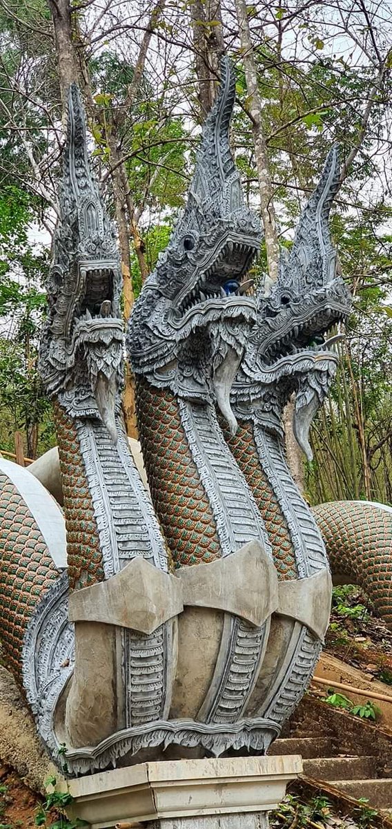 Sawitee Jit-Aree on Twitter: "💫🍀" หากเราทำคุณให้เขา ... แต่เขาไม่เป็นมิตรกับเรา 🌺🍁 🌿🎉#อย่าริษยา ...