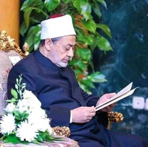 Dr Amany Mohamed (@DrAmanyMohamed3) | Twitter