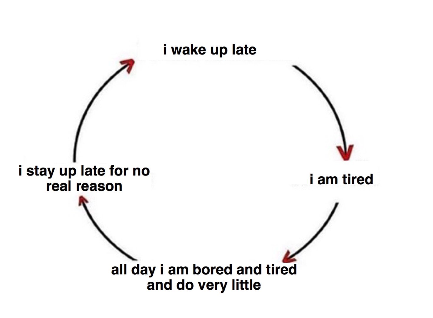 Sleep Cycle Memes