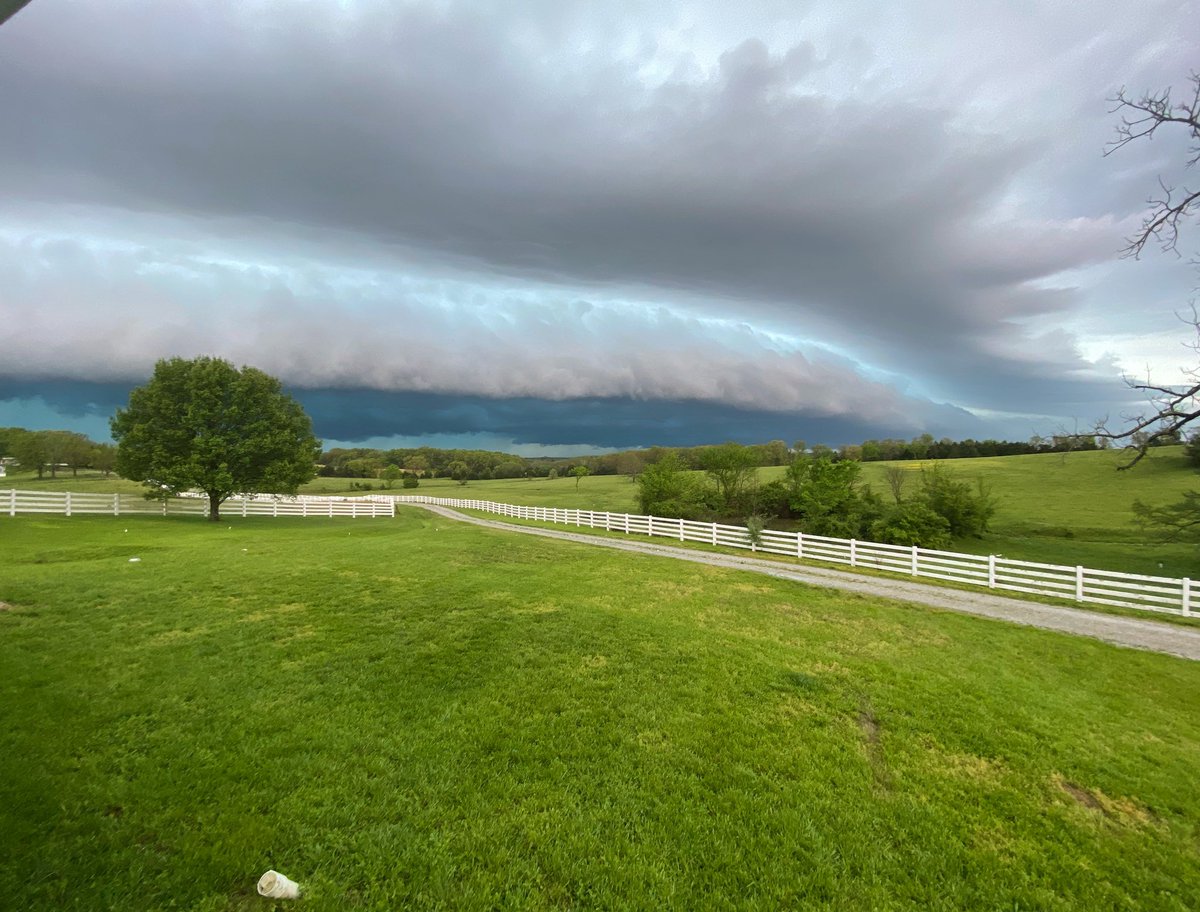 Colby Sharp (@sharpbiologist) | Twitter