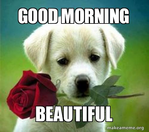 Have A Good Day Beautiful Meme
