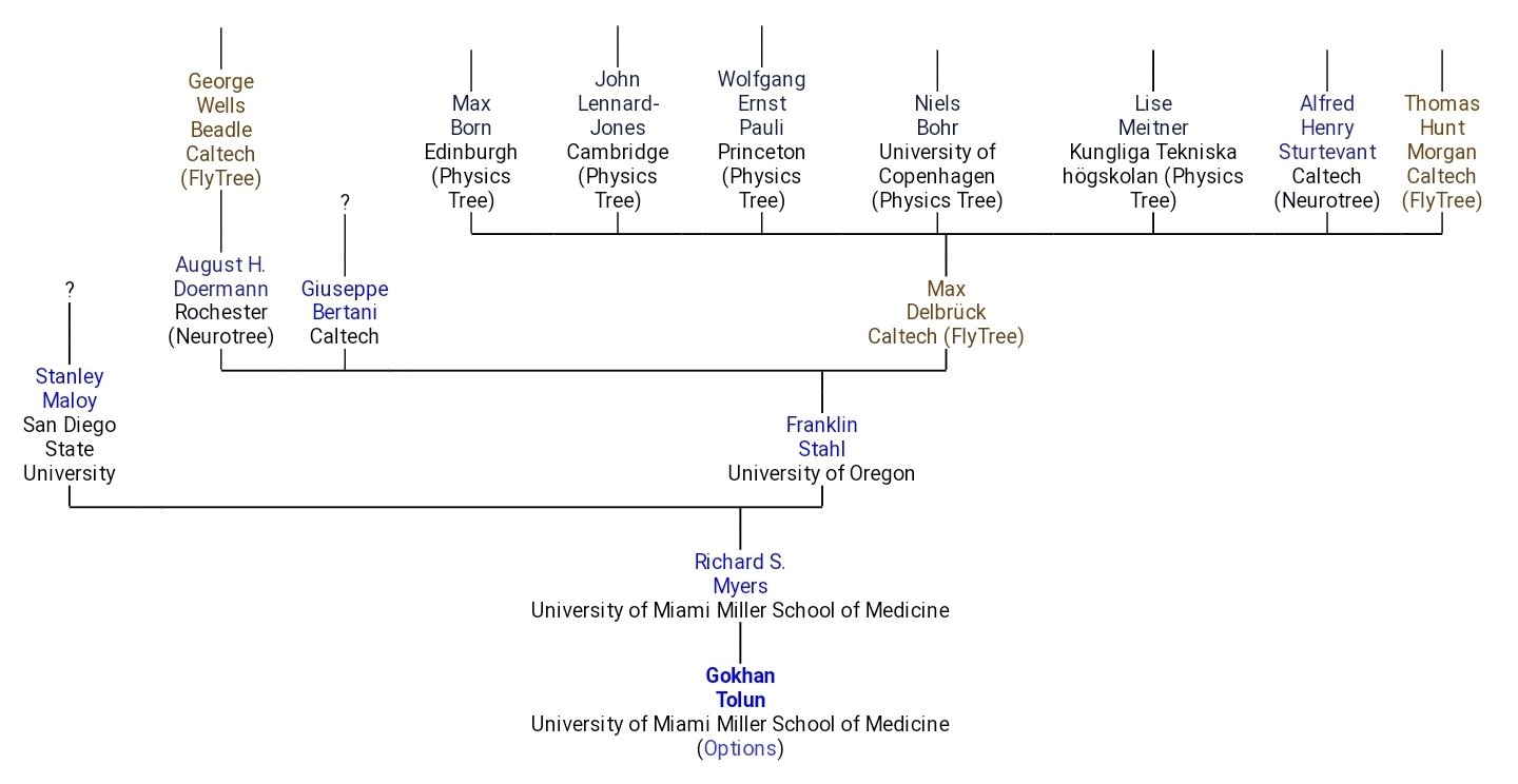 Niels Bohr Family