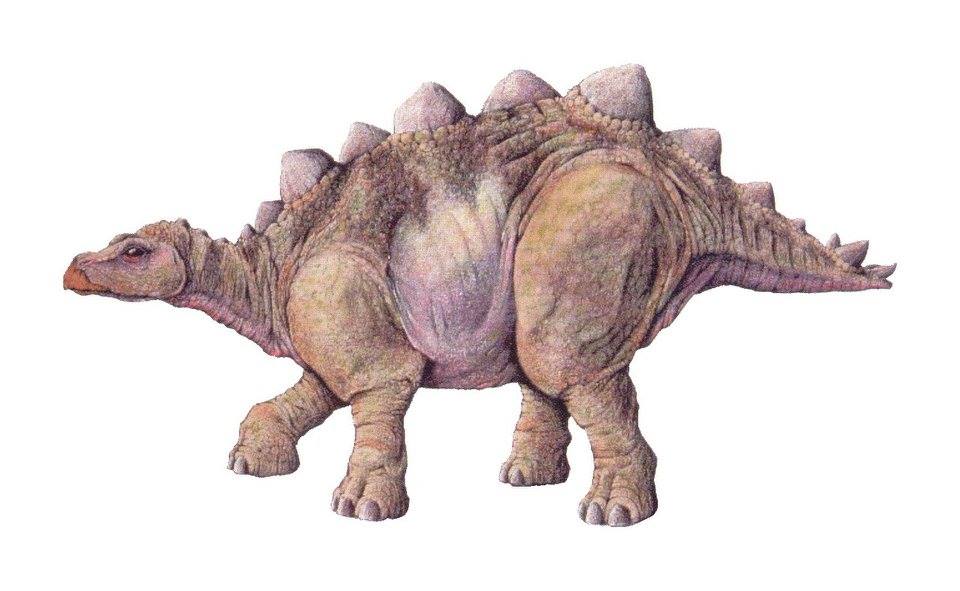 The Lost World Jurassic Park Baby Stegosaurus