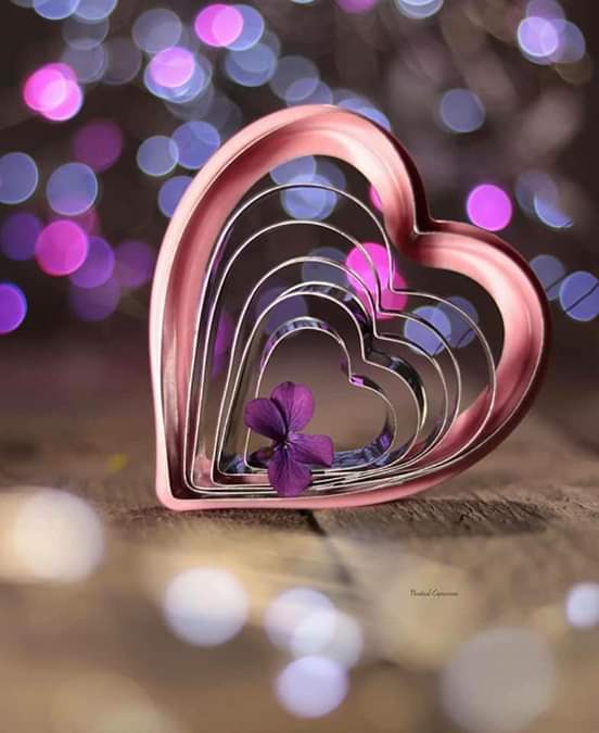 Manal Embaby on Twitter: